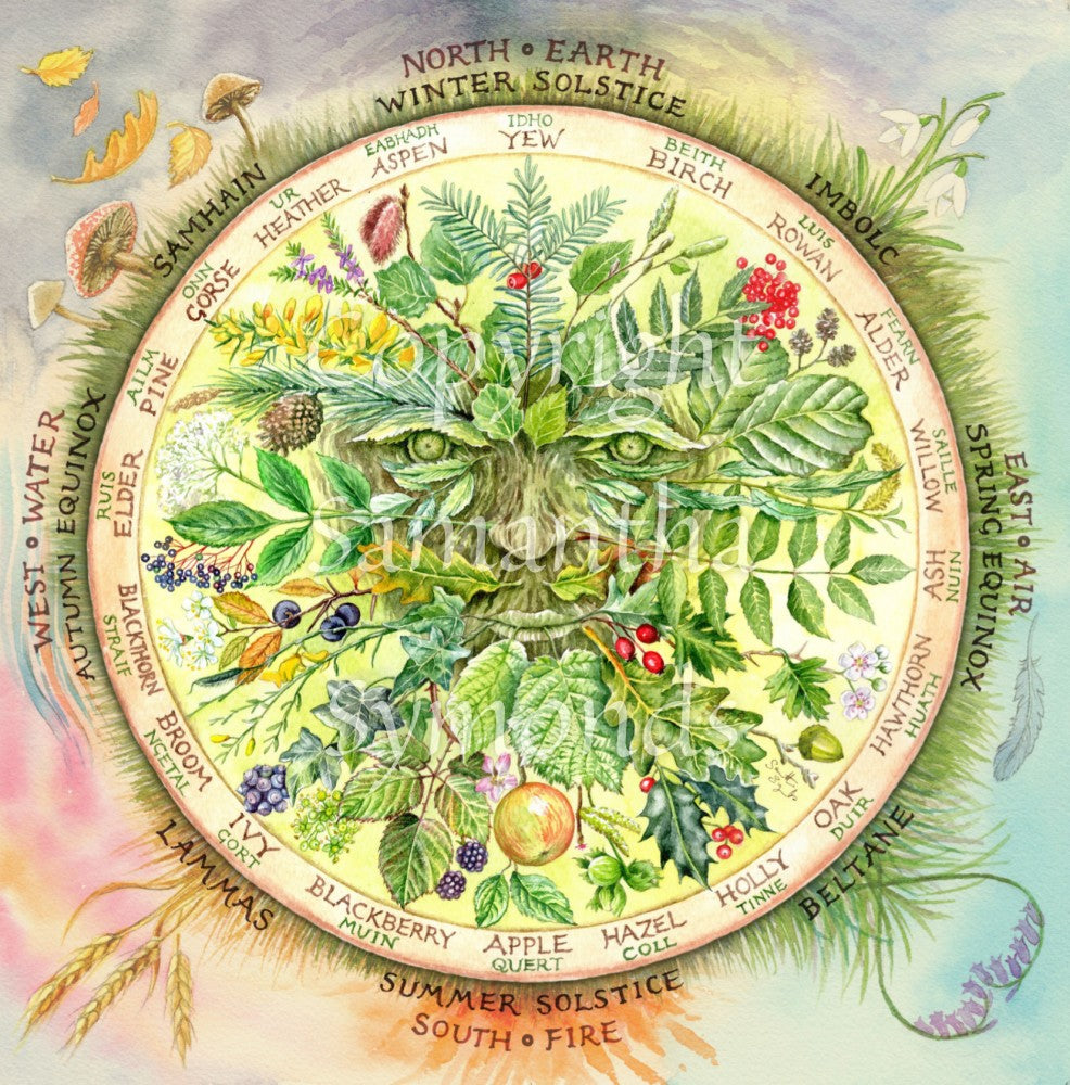 Pagan Images Pictures New Moon Ceremony, Witch, Witchcraft, Plant,
