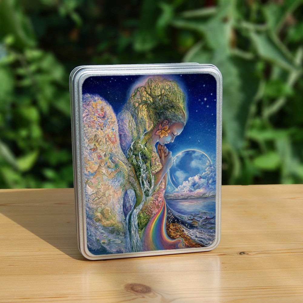 Rectangular Storage Tin - Sadness of Gaia – Moondragon