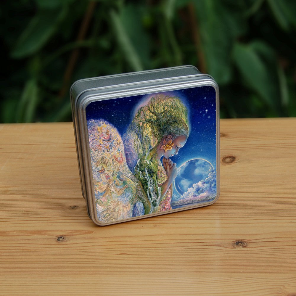 Fantasy Storage Tin - Sadness of Gaia – Moondragon