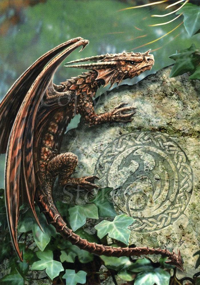 Anne Stokes & Briar Fantasy Art Multipack (6-pack) – Moondragon