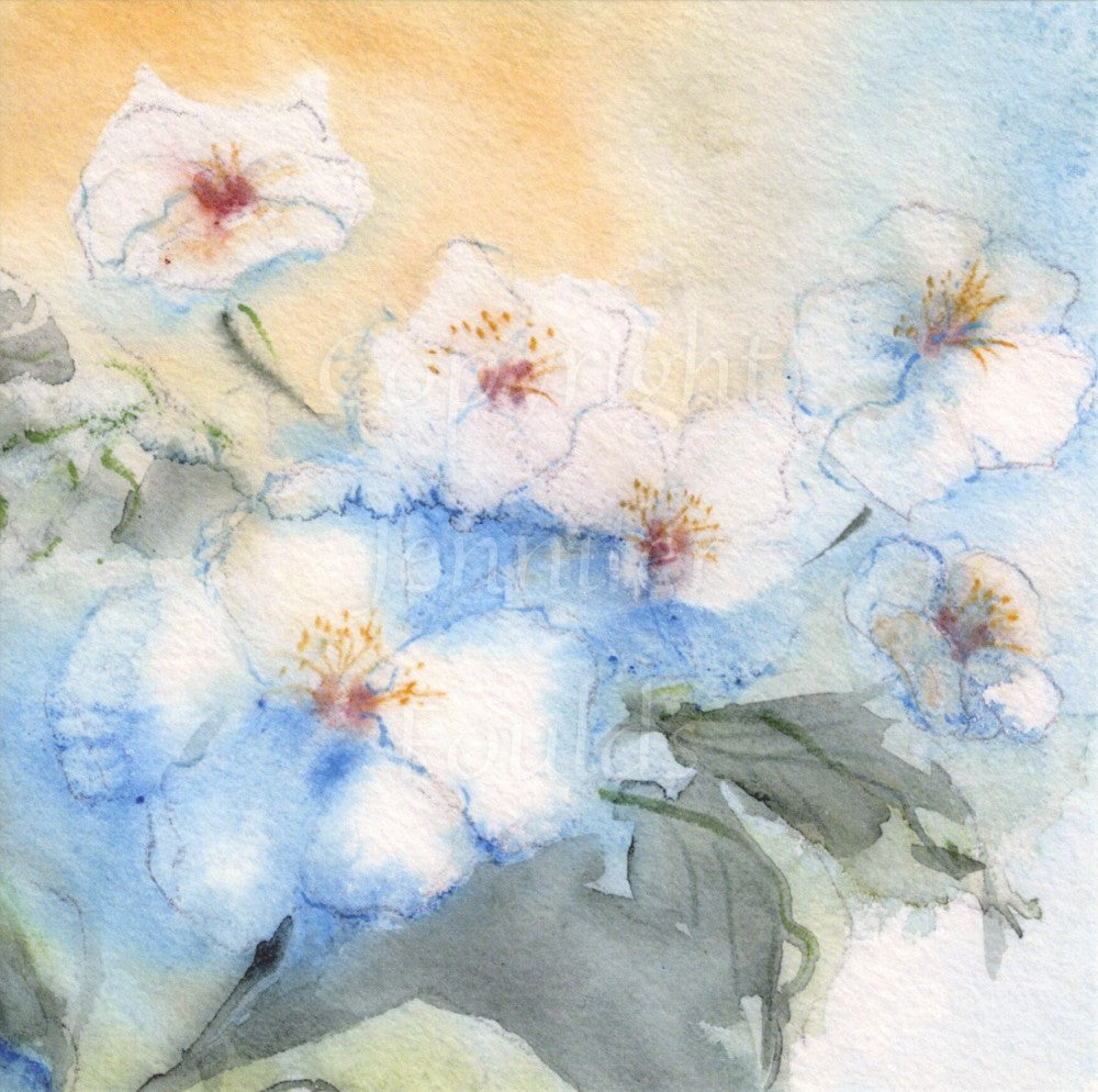 Hawthorn Blossom - Floral Spring-themed Card – Moondragon