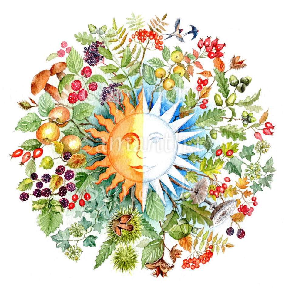 Autumn Greeting Cards – Moondragon